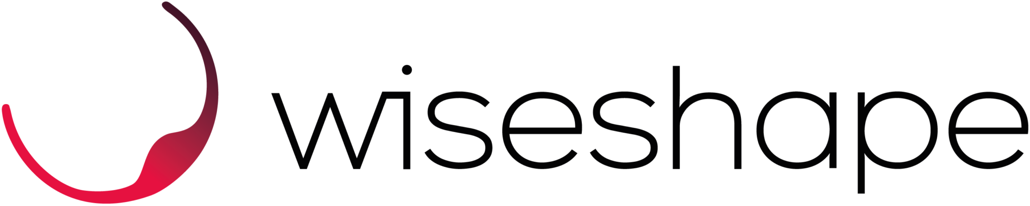 WiseShape debate propriedade intelectual na era dos conteúdos digitais